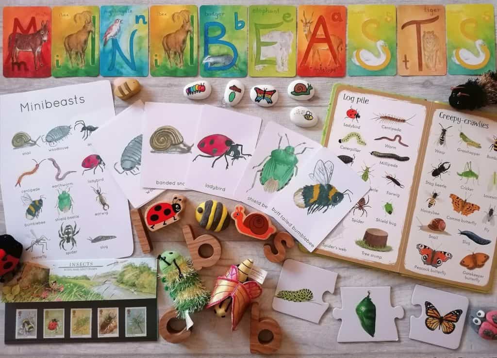 Minibeasts Topic - Nature Explorers - Ideas and Resources