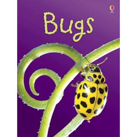 Minibeasts Topic - Nature Explorers - Ideas and Resources