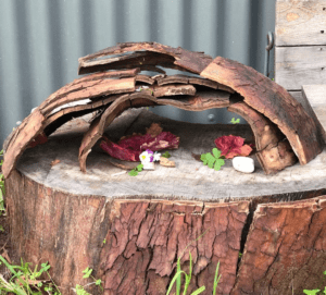 Secret Small Worlds - Dream Gardens for Kids - Busy Busy Learning