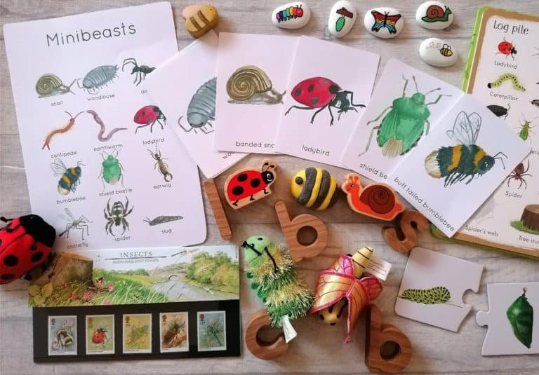 Minibeasts Topic - Nature Explorers - Ideas and Resources