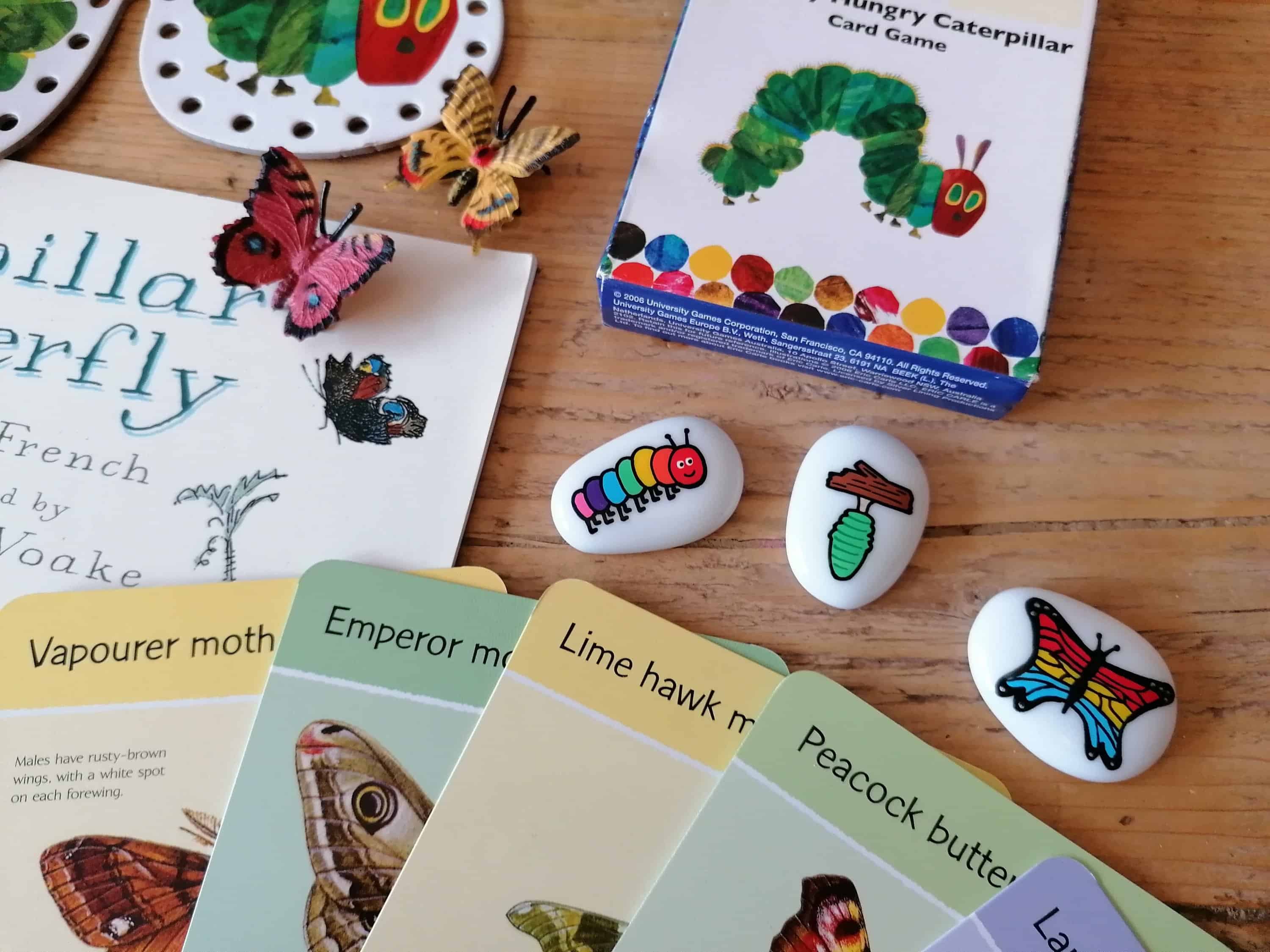 Minibeasts Topic - Nature Explorers - Ideas and Resources