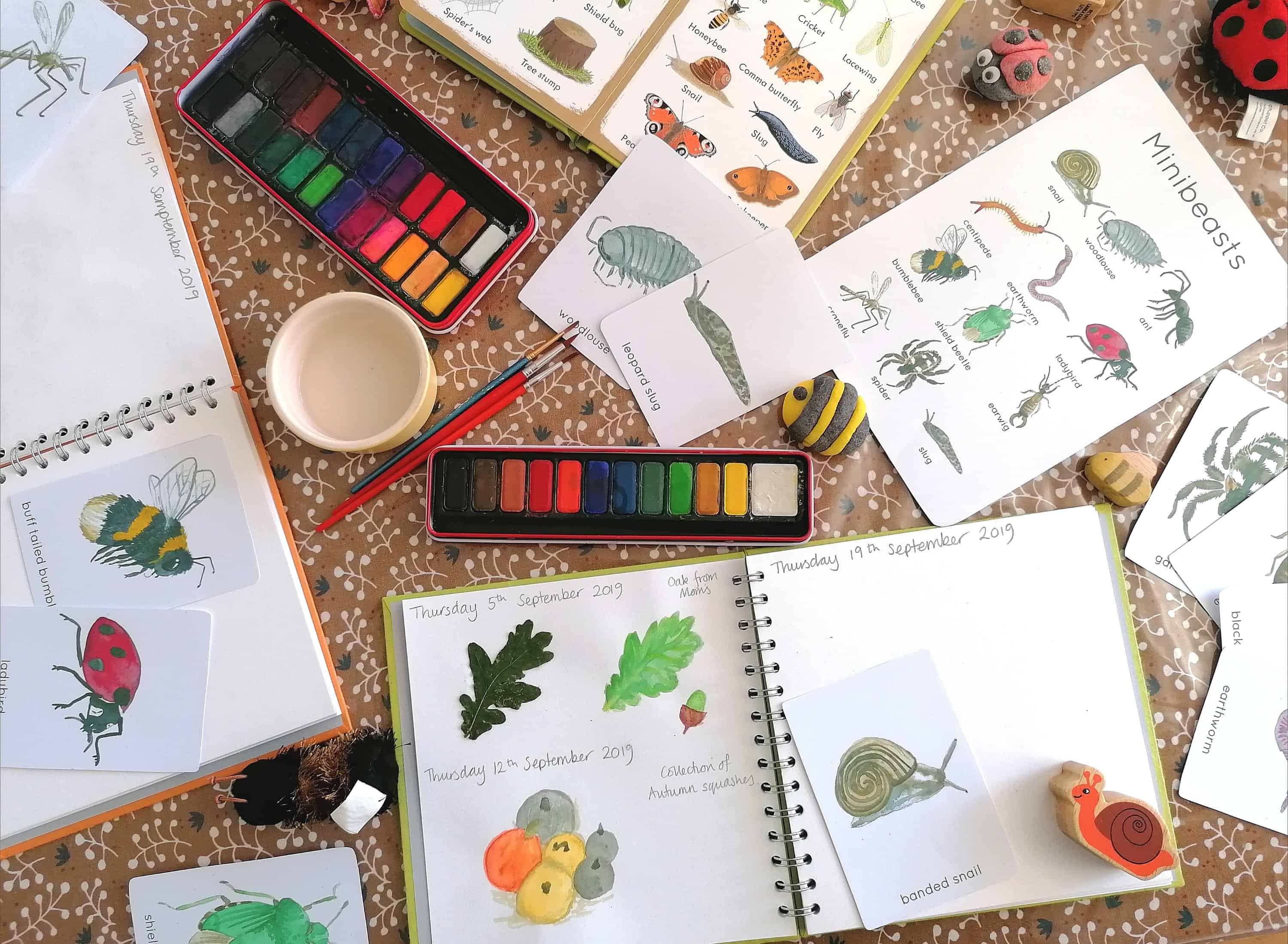 Minibeasts Topic - Nature Explorers - Ideas and Resources