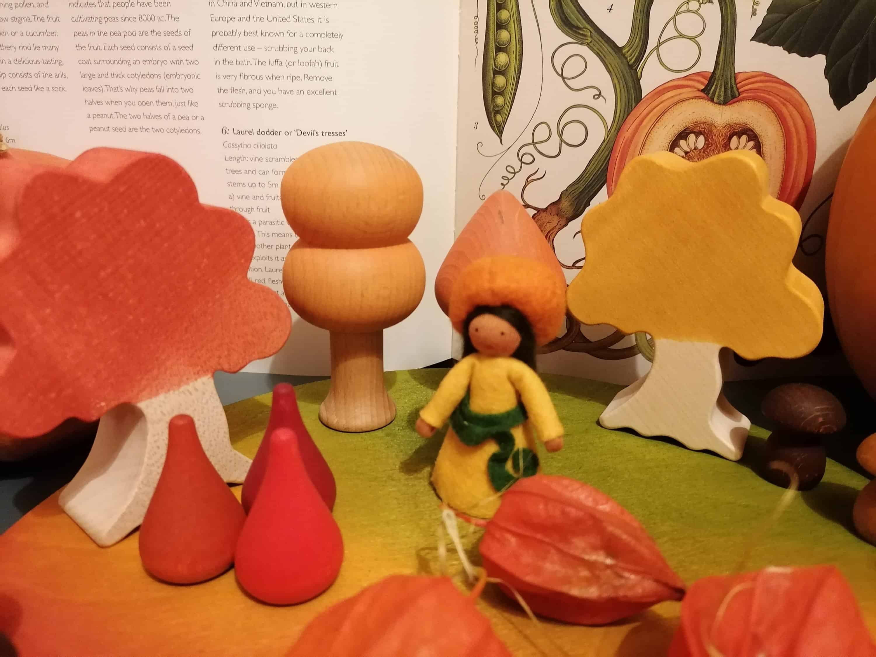 Pumpkin Nature Study, Ideas and Activities - Exploring Nature with ...
