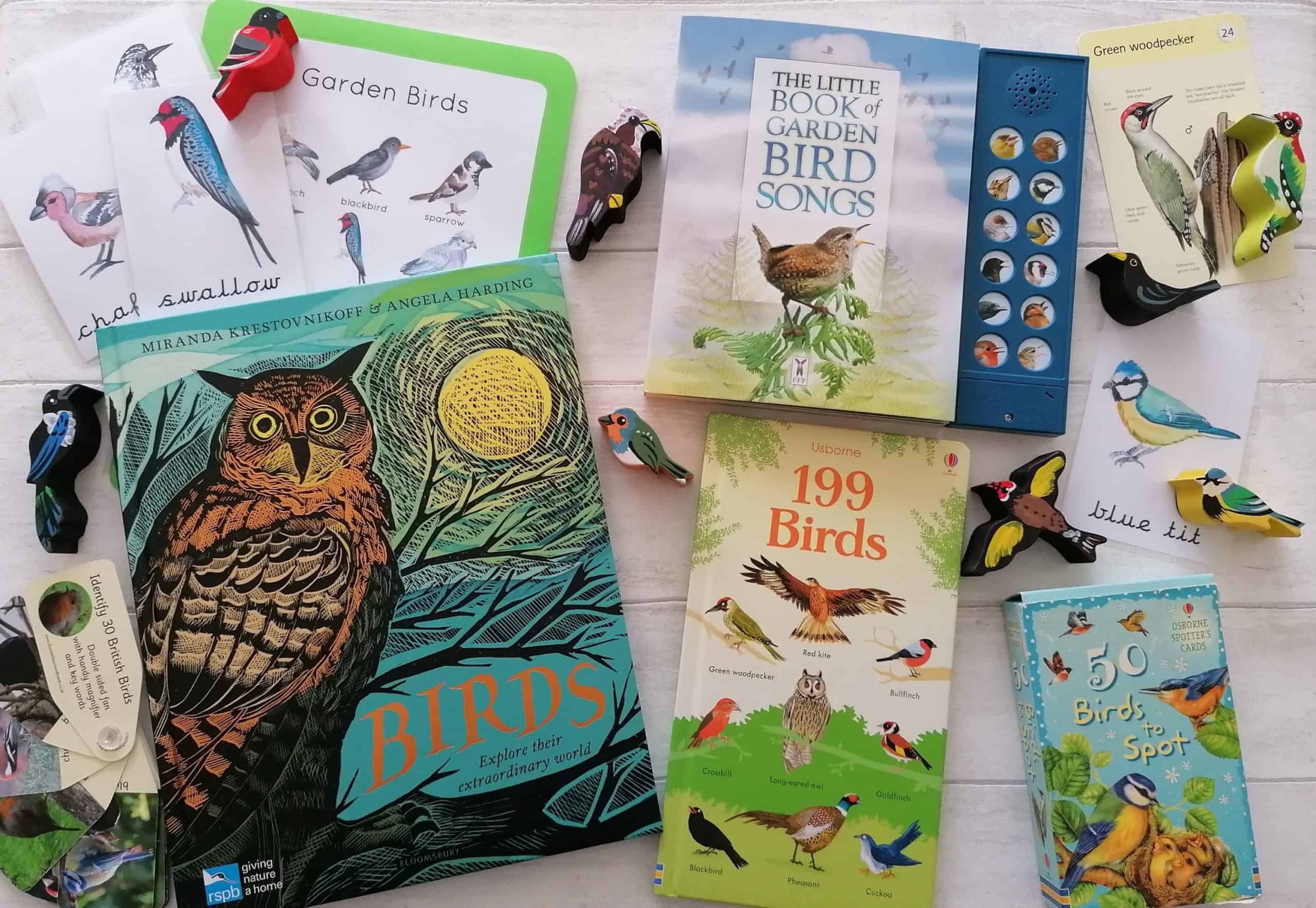 Nature Explorer - Nesting Birds - Busy Busy Learning