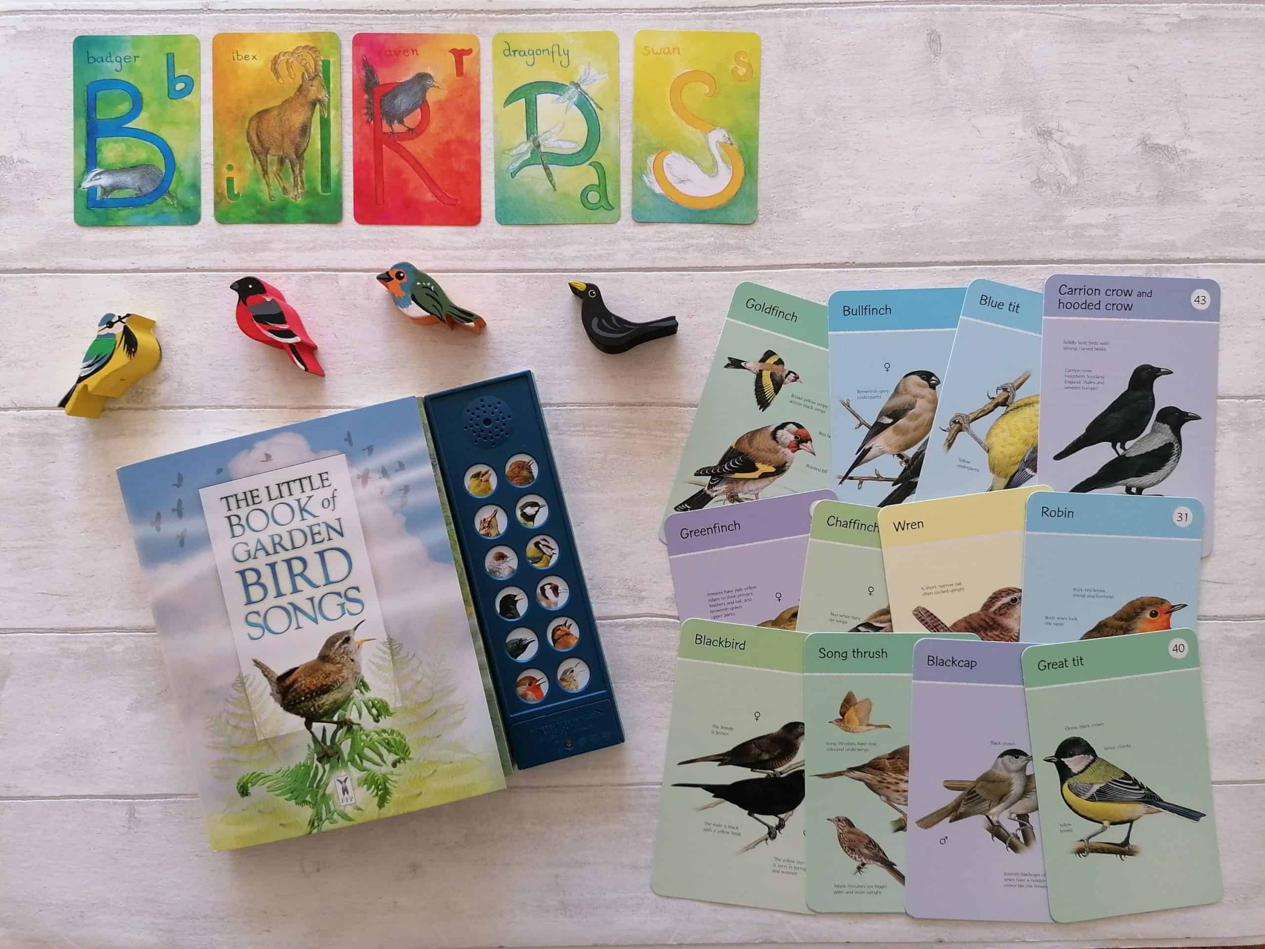 Nature Explorer - Nesting Birds - Busy Busy Learning