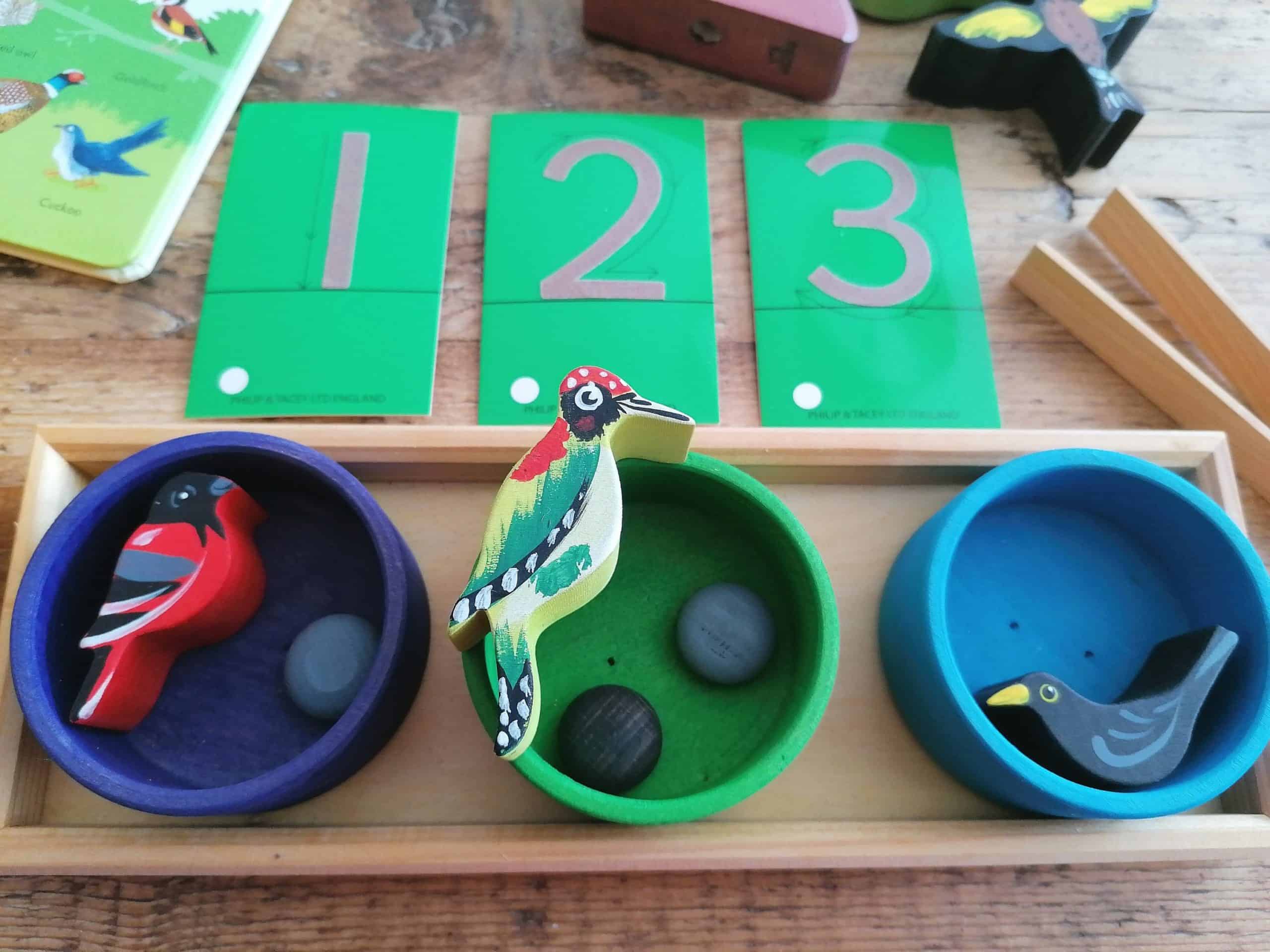 Birds, Books and Learning Through Play at Home - Busy Busy Learning