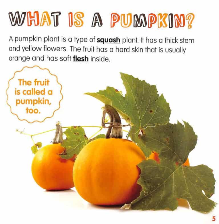 Pumpkin Nature Study, Ideas and Activities - Exploring Nature with ...
