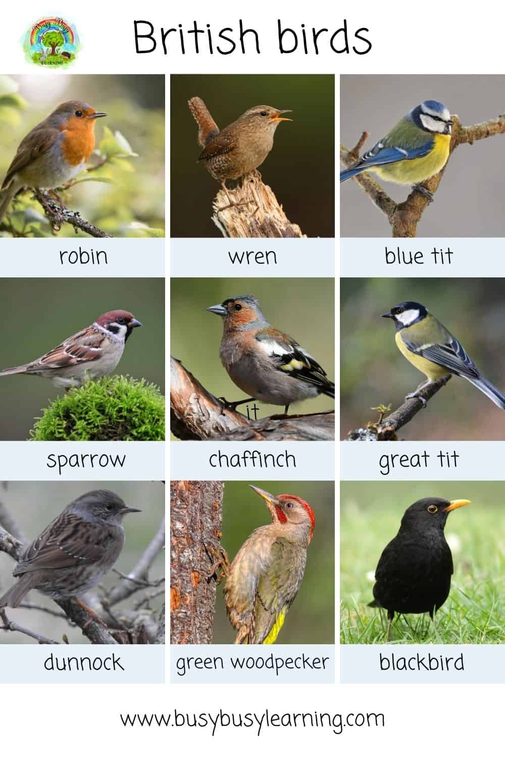 Exploring Nature with Children in December Resources