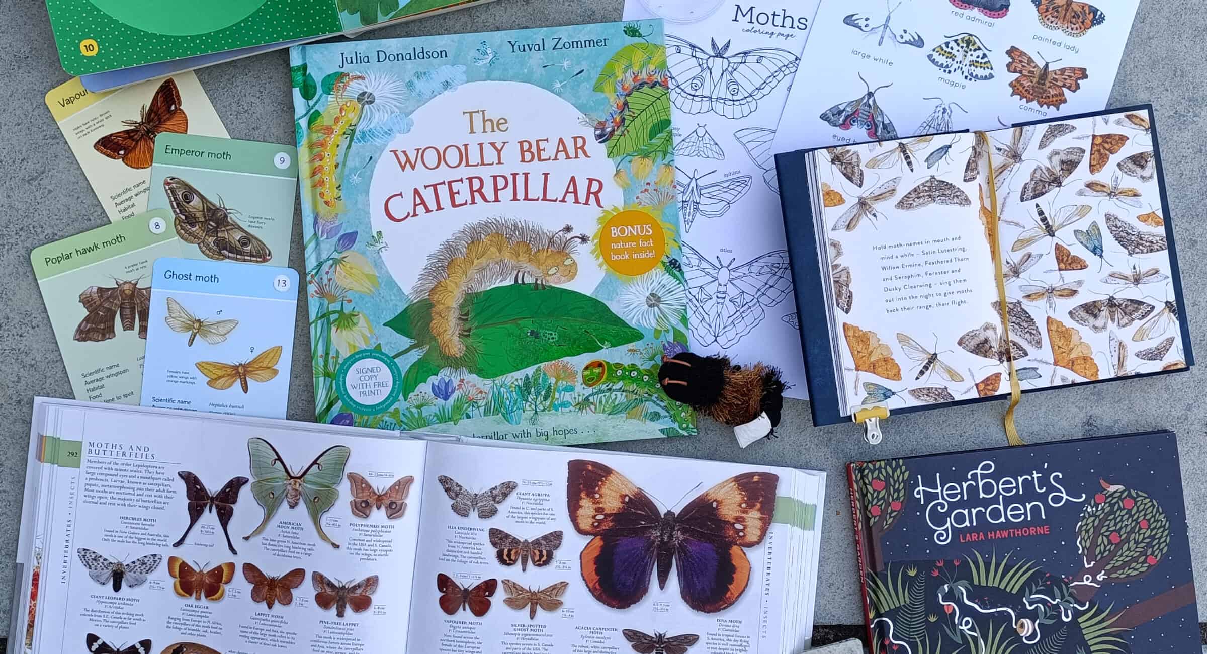 Story Sacks - Ideas and Play - Busy Busy Learning