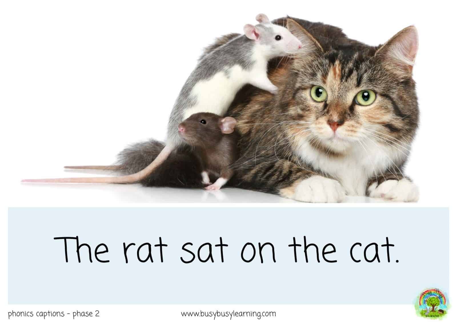 Resources - Busy Busy Learning