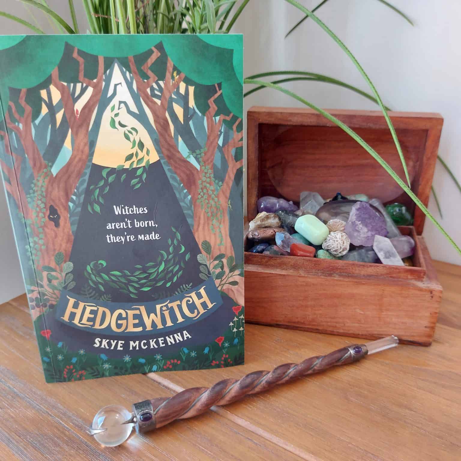 Hedgewitch by Skye McKenna - Busy Busy Learning