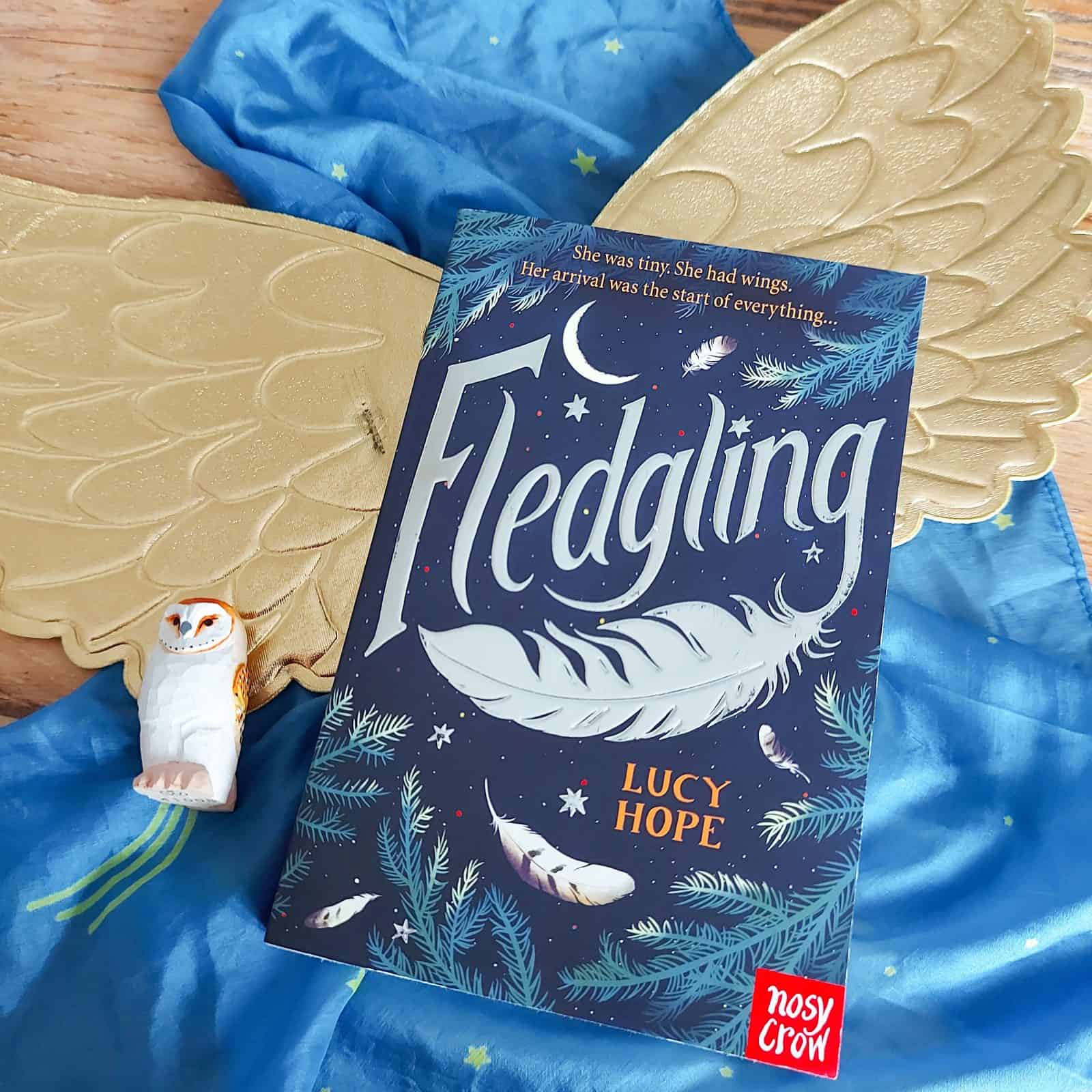 Fledgling by Lucy Hope - Busy Busy Learning