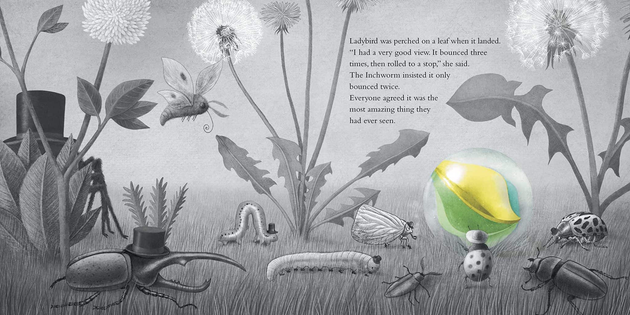 It Fell From the Sky by The Fan Brothers - Busy Busy Learning