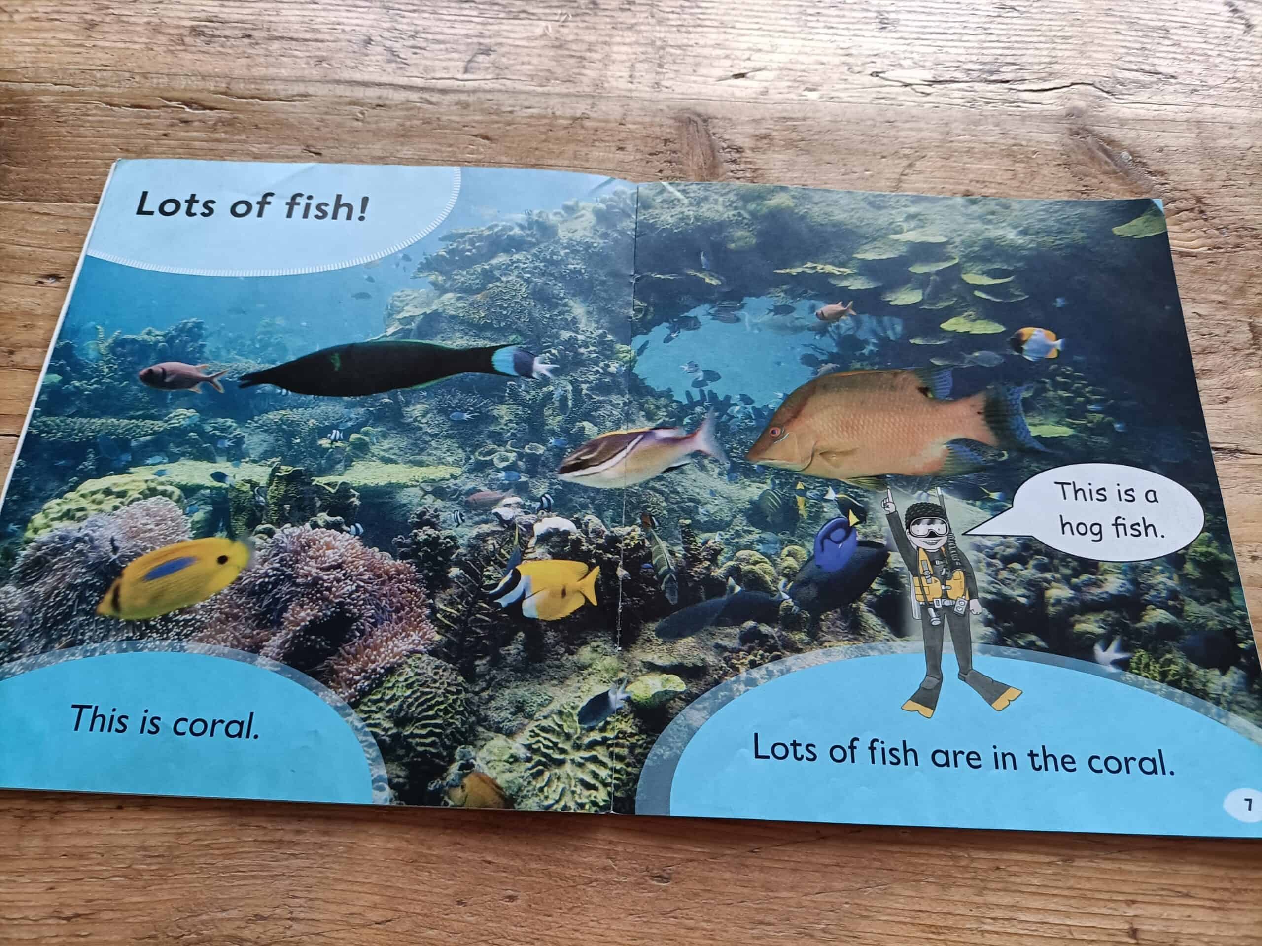 7 Ways to Read School Book Banded Books - Busy Busy Learning