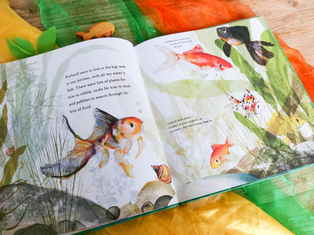My Pet Goldfish by Catherine Rayner - Busy Busy Learning