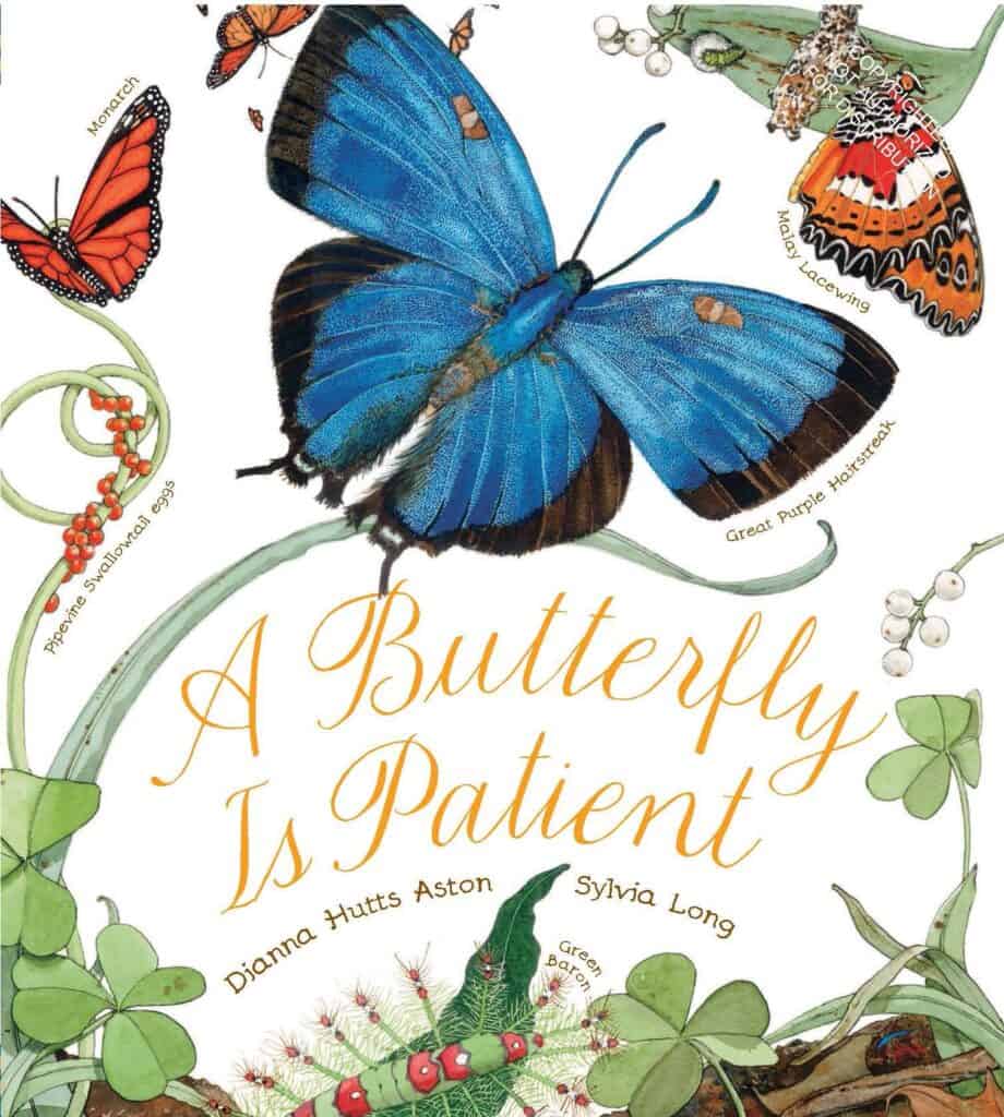 Bookworm Buzz - Children's Book News - Butterflies and Unicorns
