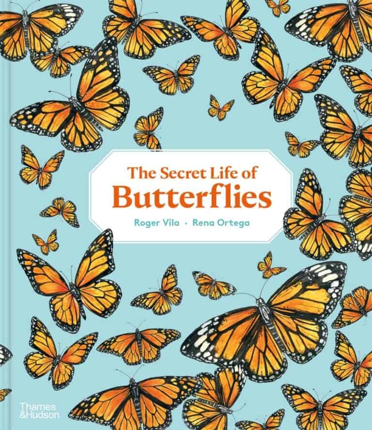 Bookworm Buzz - Children's Book News - Butterflies and Unicorns
