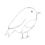 Needle Felted Robin and Other Creative Inspiration