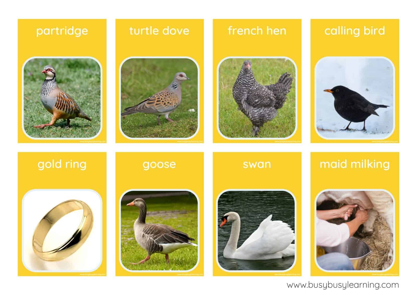 Exploring Nature with Children in December Resources