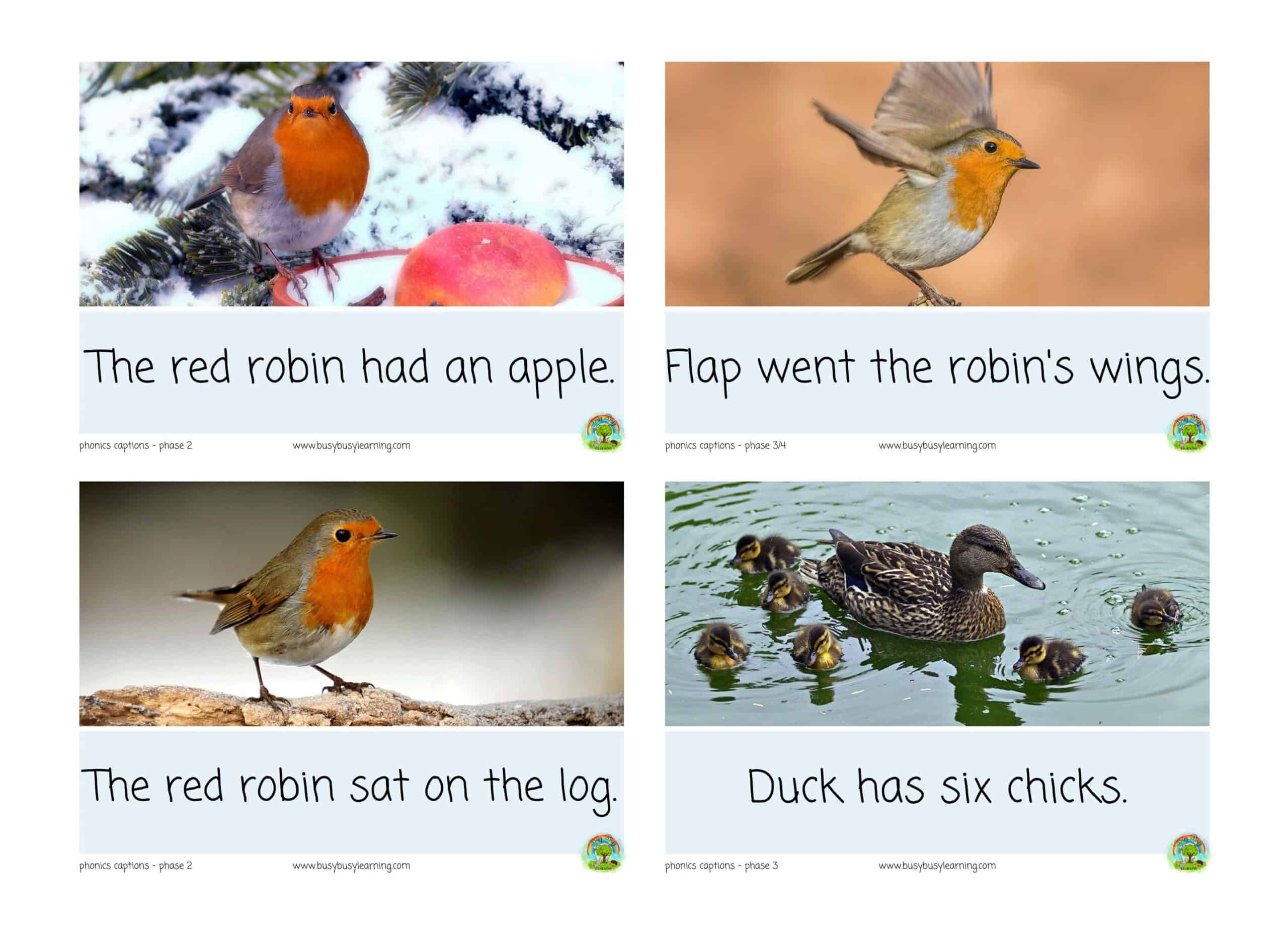 Exploring Nature with Children in December Resources