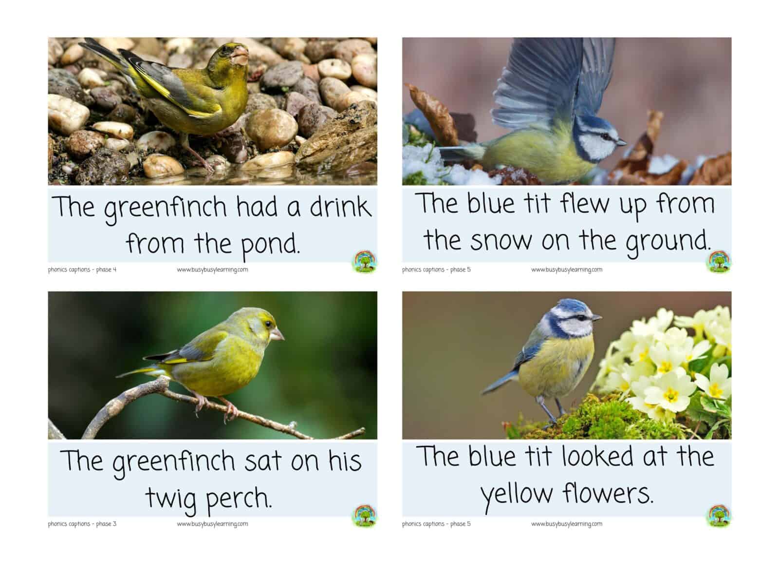Exploring Nature with Children in December Resources