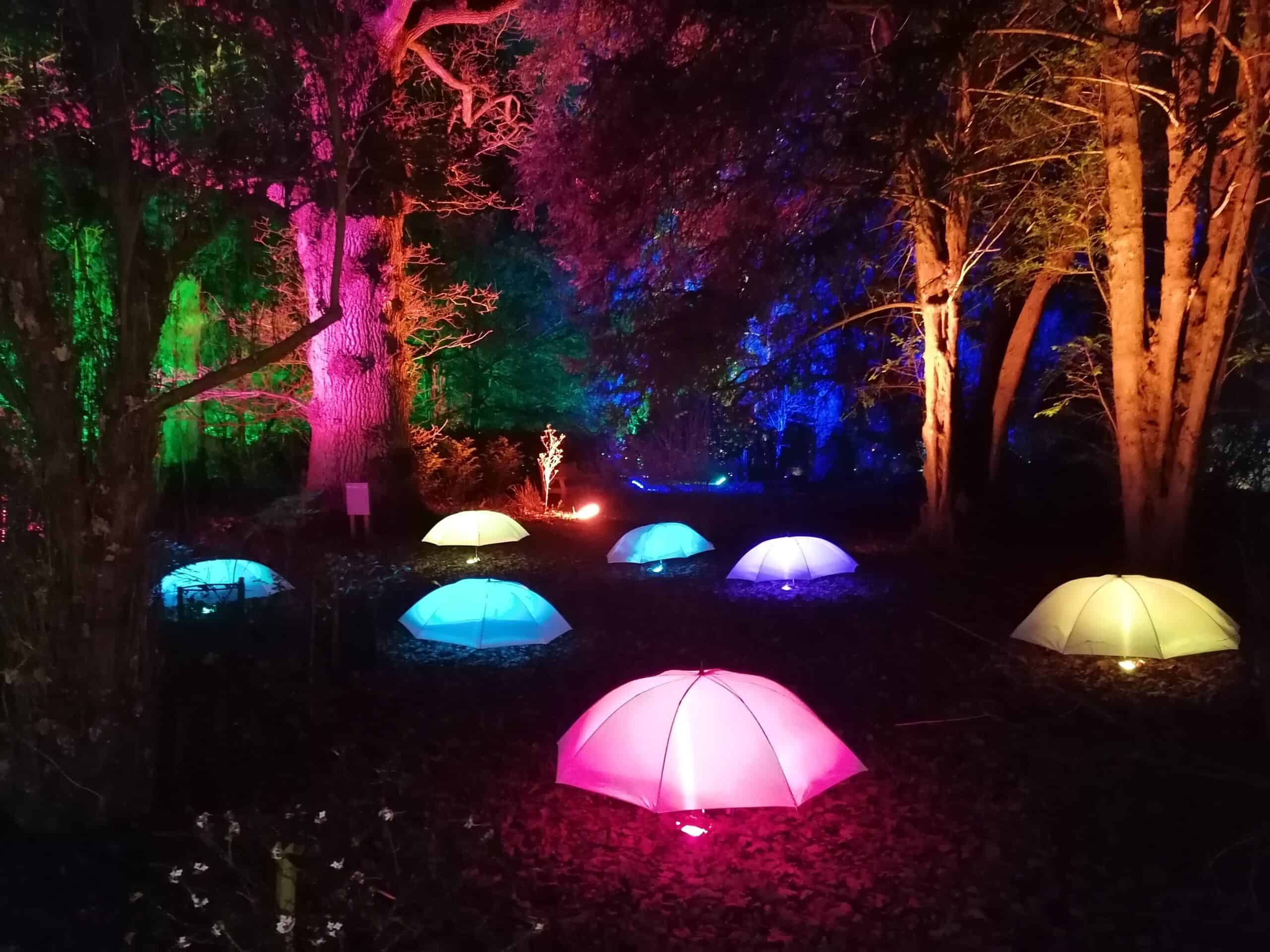 How do you Play as an Adult? - Busy Busy Learning