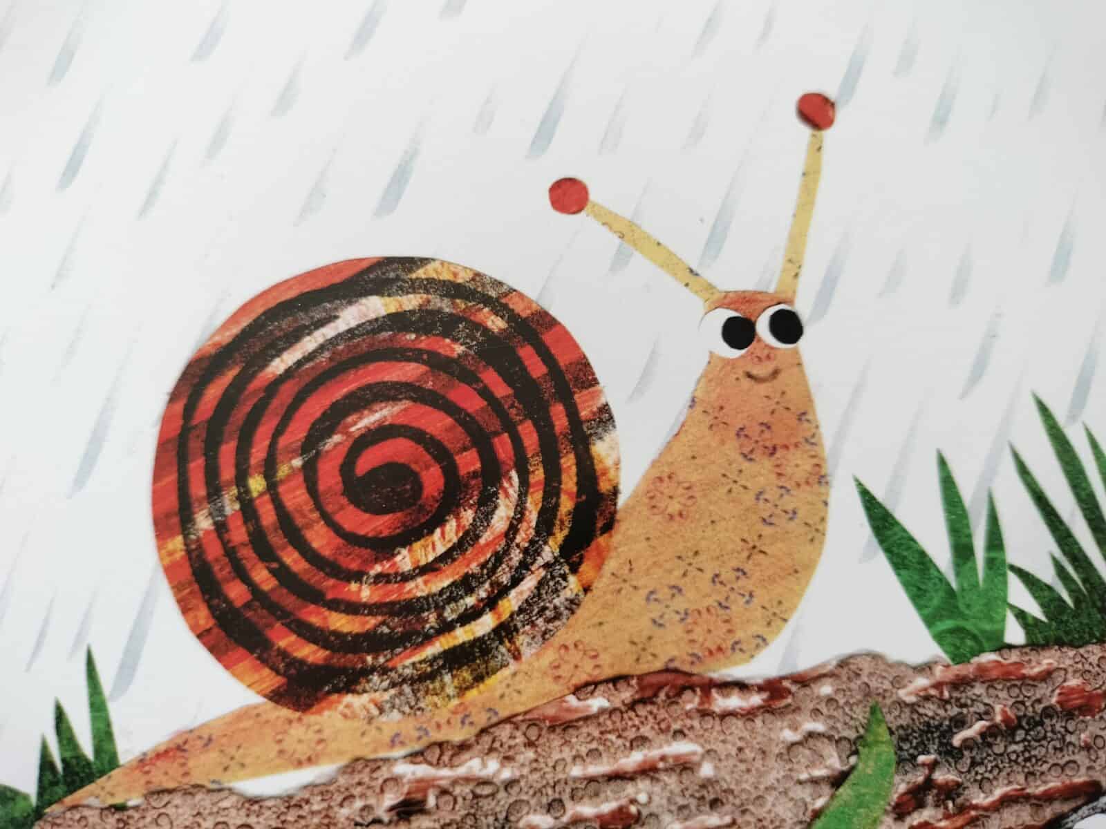 Grow Tall Sid! by Debra Wellington - Life Cycle of a Sunflower - Busy ...