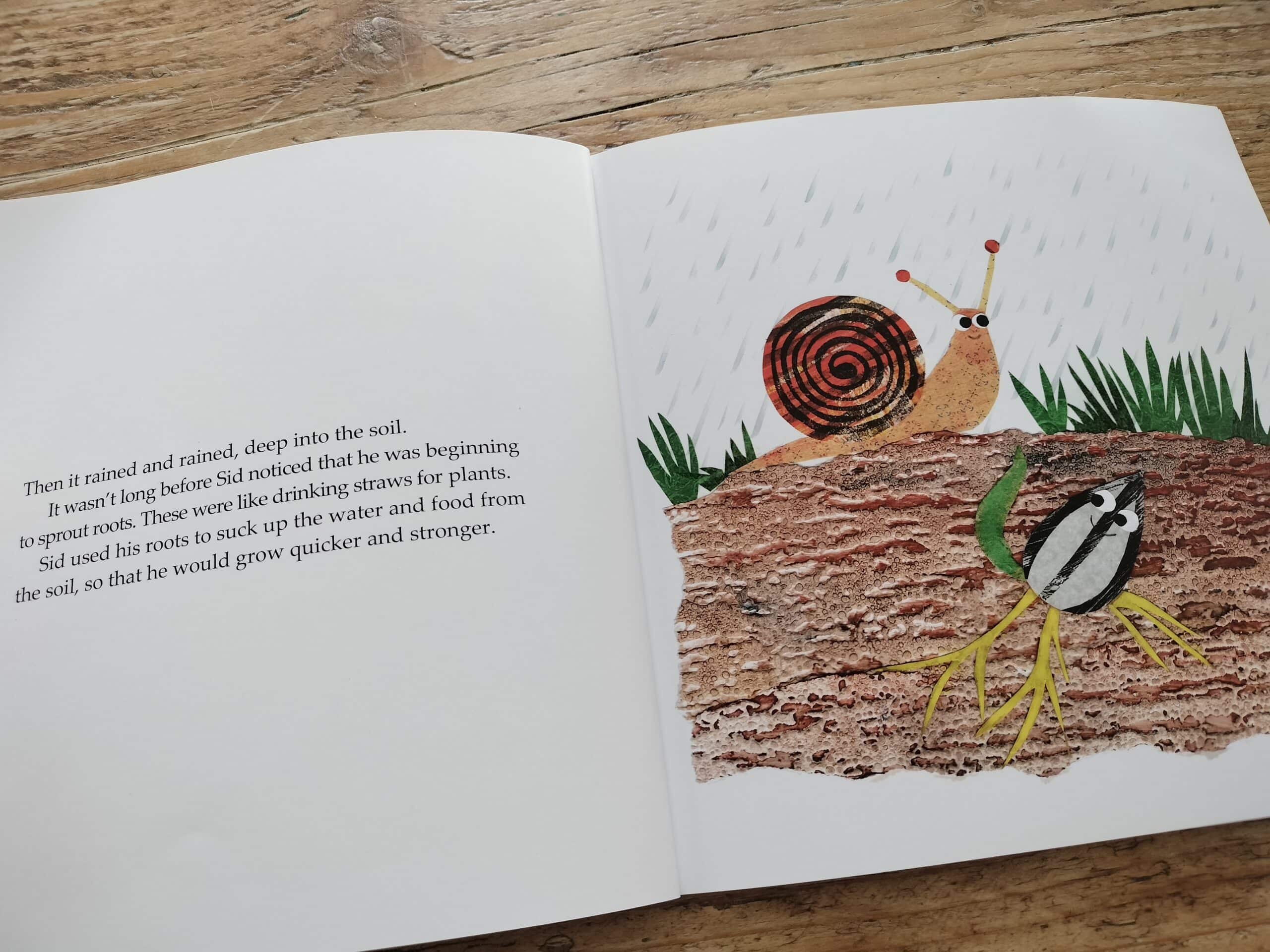 Grow Tall Sid! by Debra Wellington - Life Cycle of a Sunflower - Busy ...