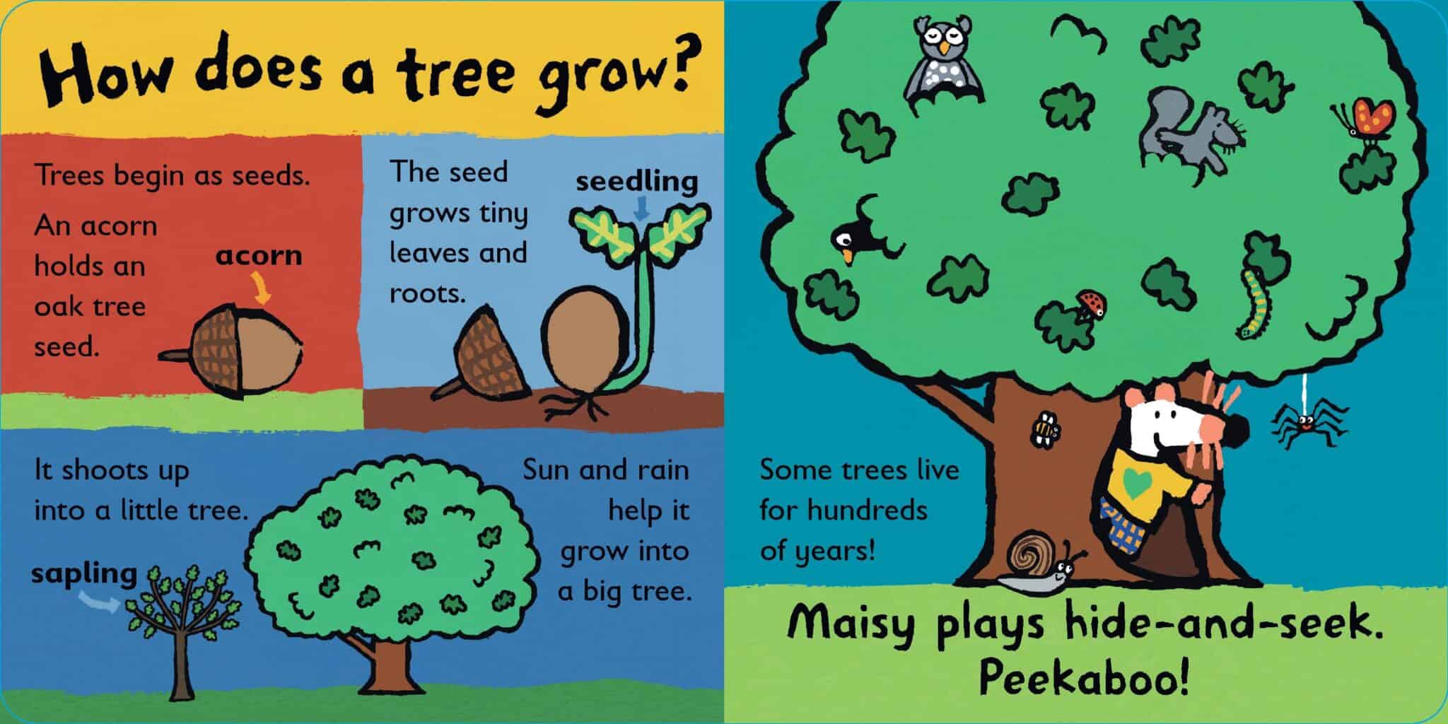 Early Nature Books for Fact Seeking Little Nature Lovers - Busy Busy ...
