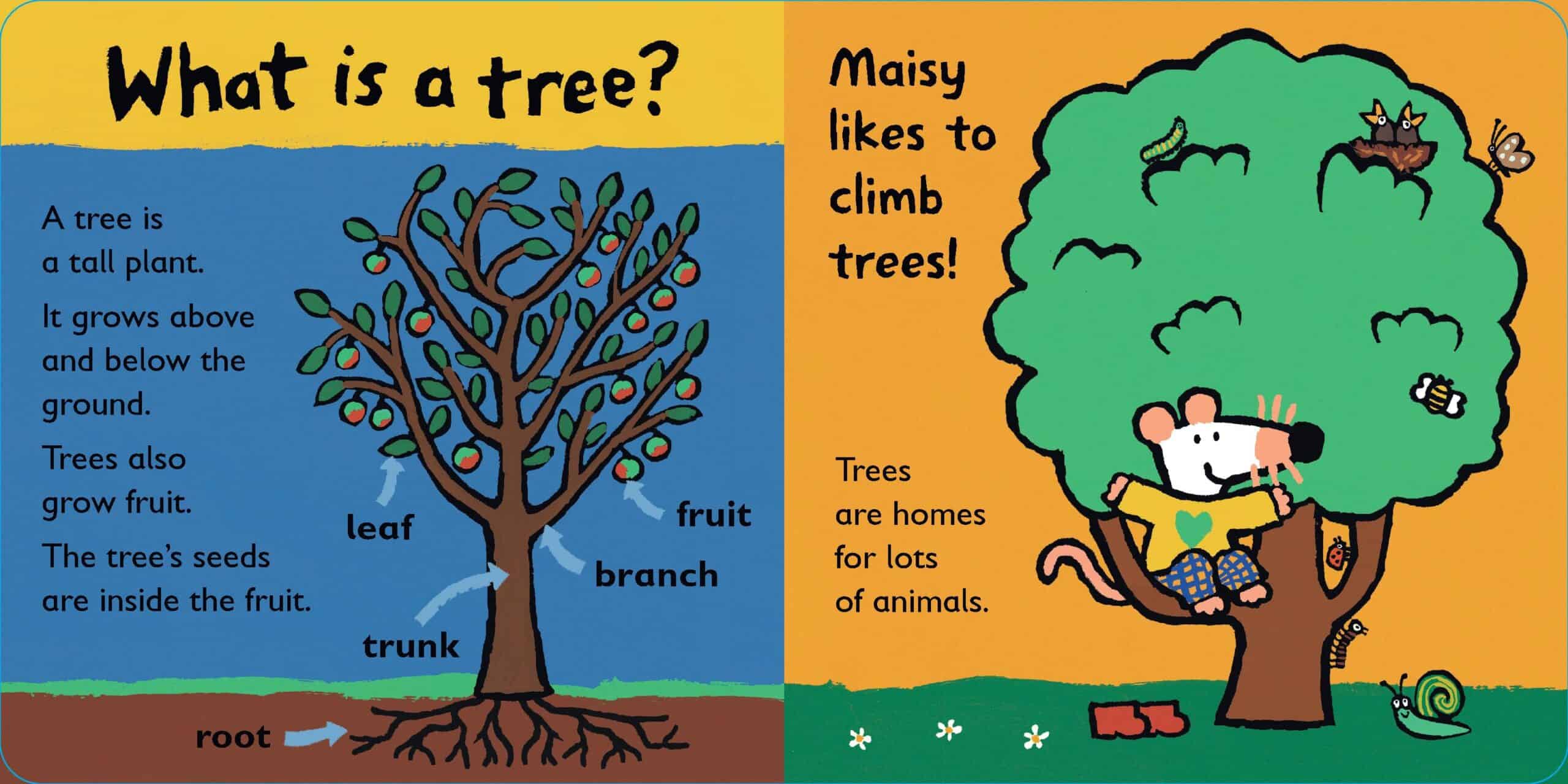 Early Nature Books for Fact Seeking Little Nature Lovers - Busy Busy ...