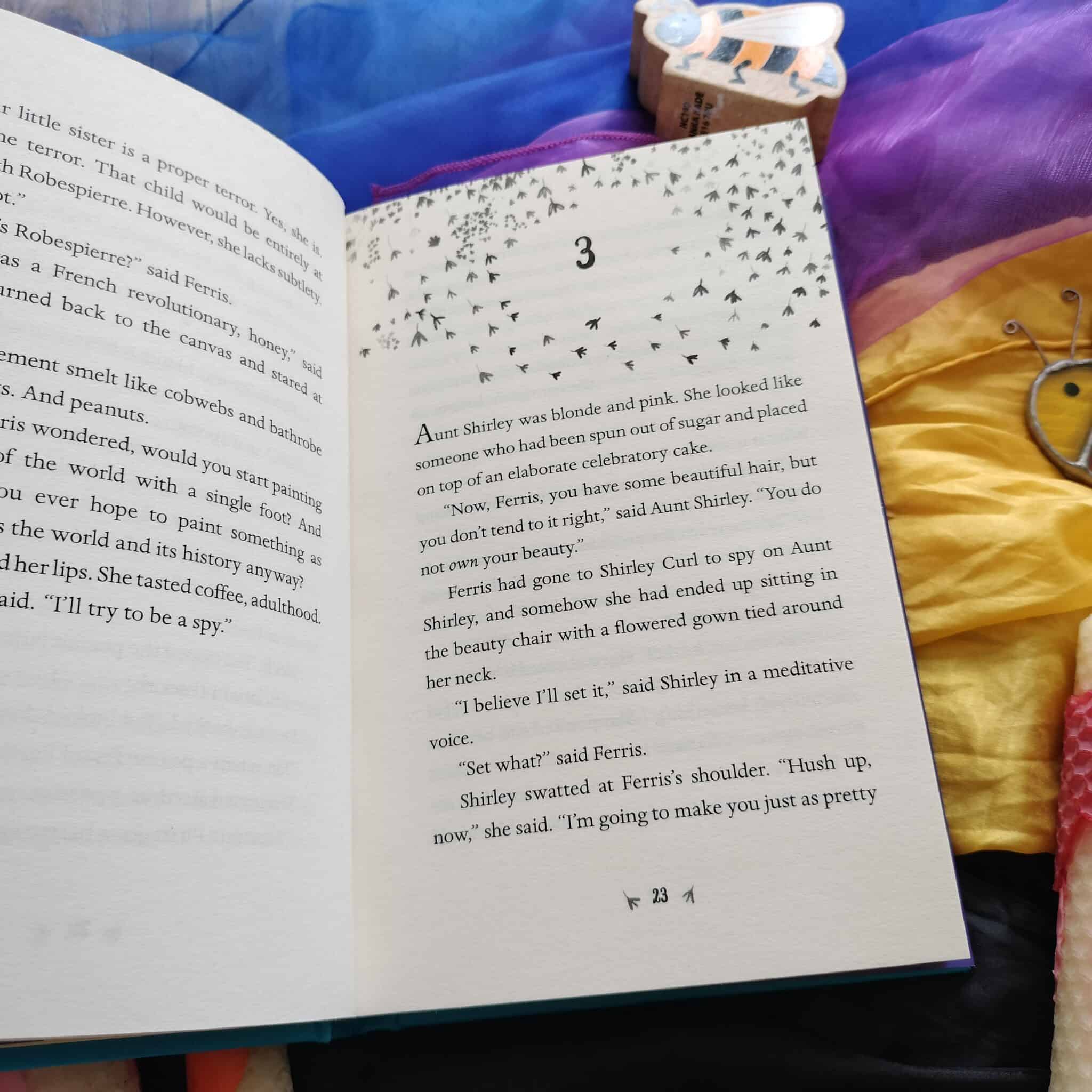 Ferris by Kate DiCamillo a Delicate Book About Connection, Loss and ...