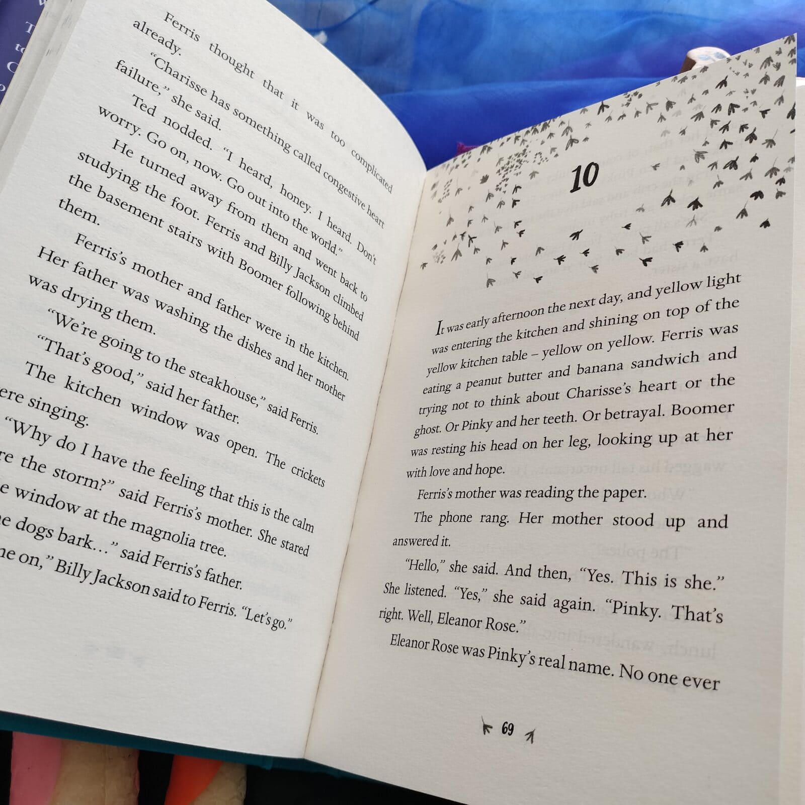 Ferris by Kate DiCamillo a Delicate Book About Connection, Loss and ...