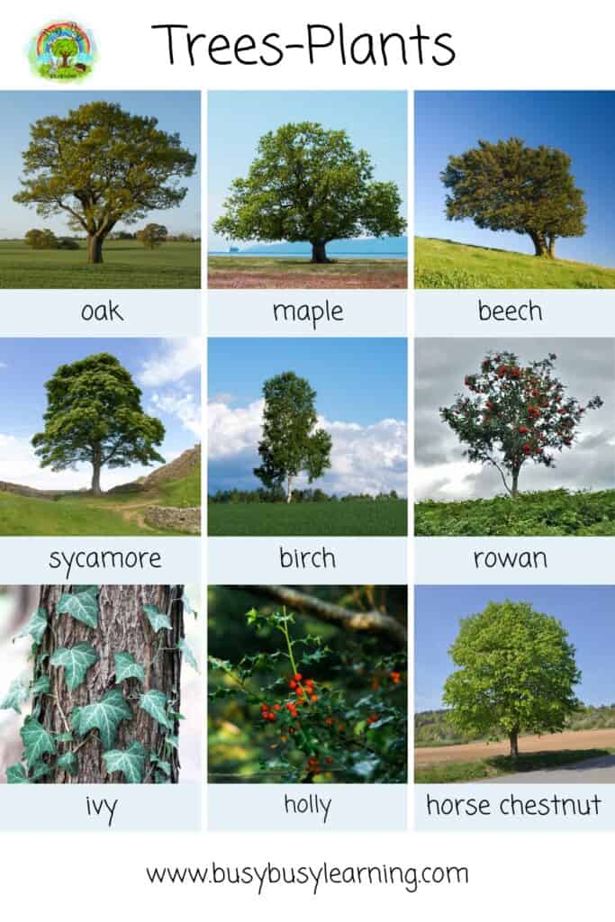 Exploring Nature with Children in October Resources