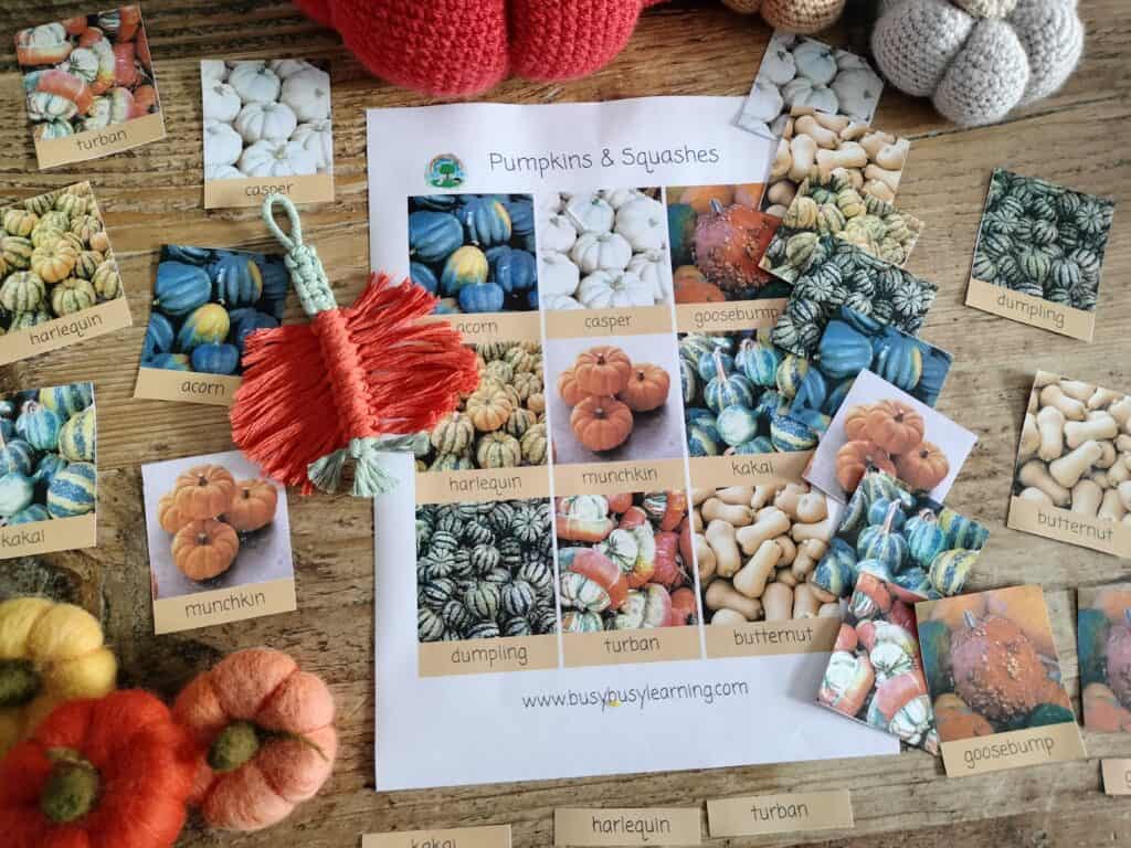 Exploring Nature with Children in October Resources